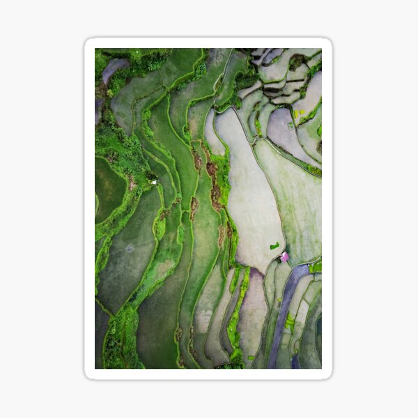 "Rice terraces " Sticker for Sale by QualtaghArt | Redbubble