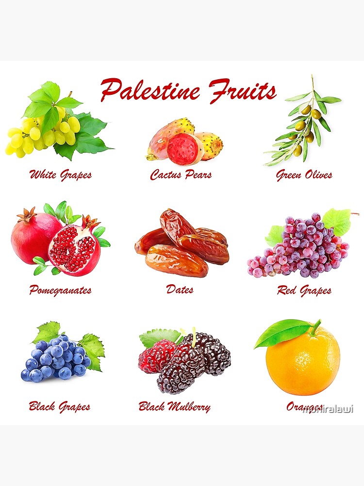 "Palestine Fruits" Poster by muniralawi | Redbubble