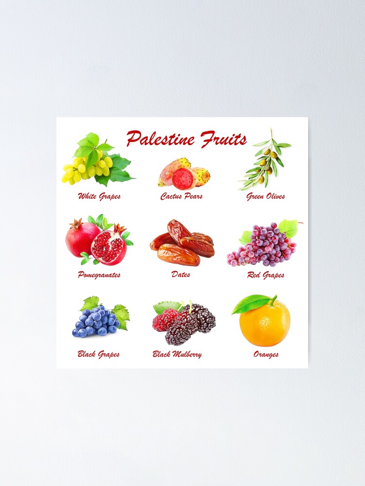 "Palestine Fruits" Poster by muniralawi | Redbubble