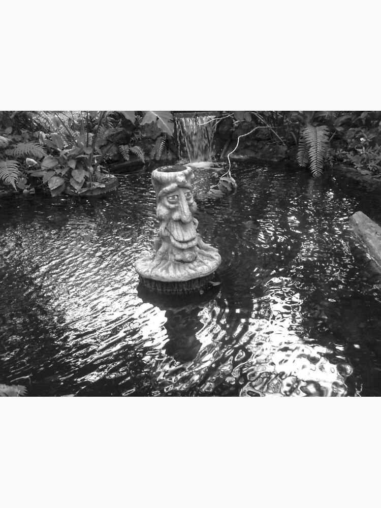 "Tree Man Statue in Pond Garden from Florida Black & White Photo ...