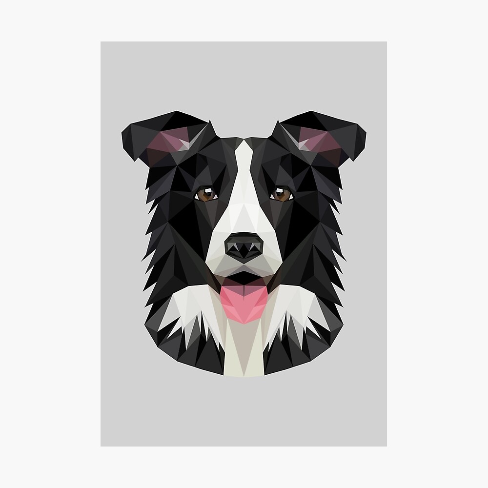 Border Collie Pixel Art | canoeracing.org.uk