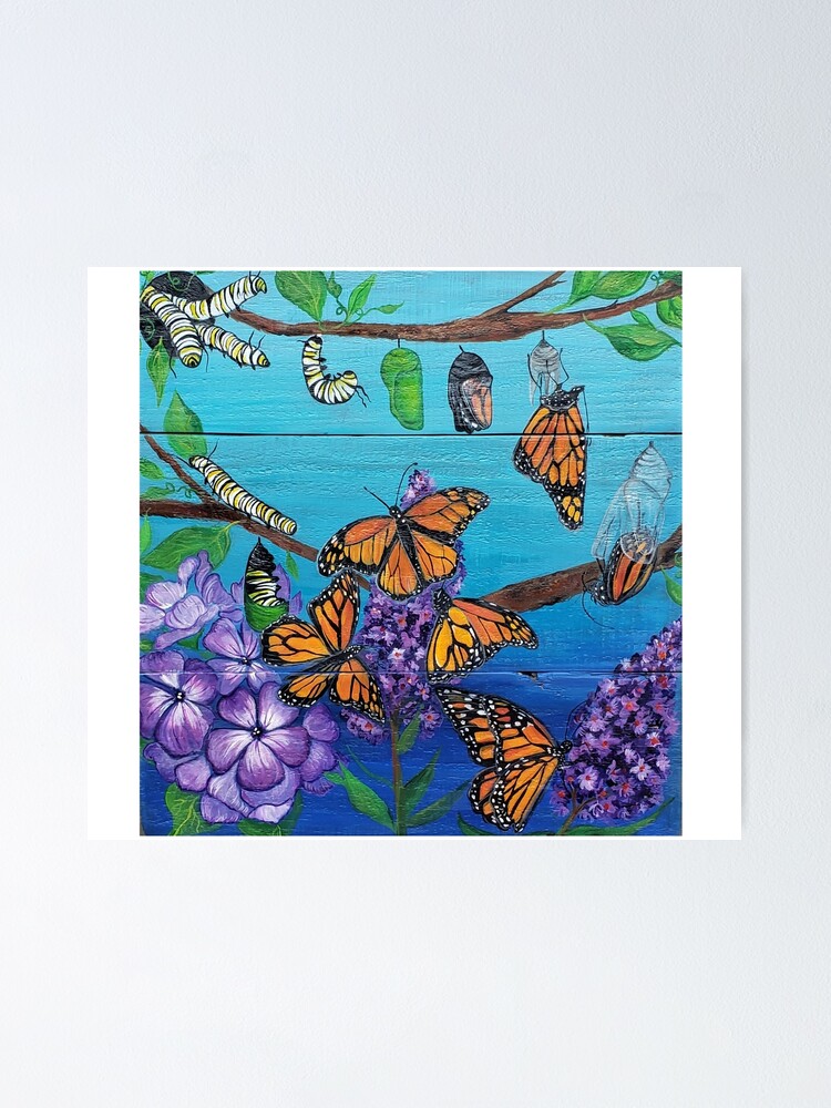"Life Cycle of a Monarch Butterfly" Poster for Sale by pikolasart ...