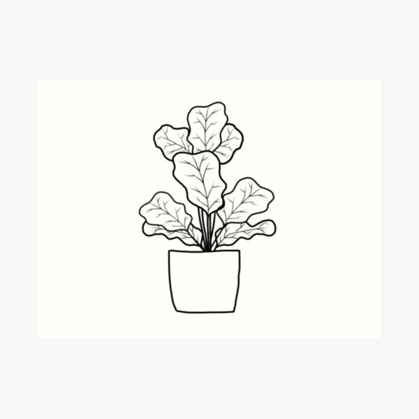"Color Your Own Fiddle Leaf Fig" Art Print by HPH-merch | Redbubble