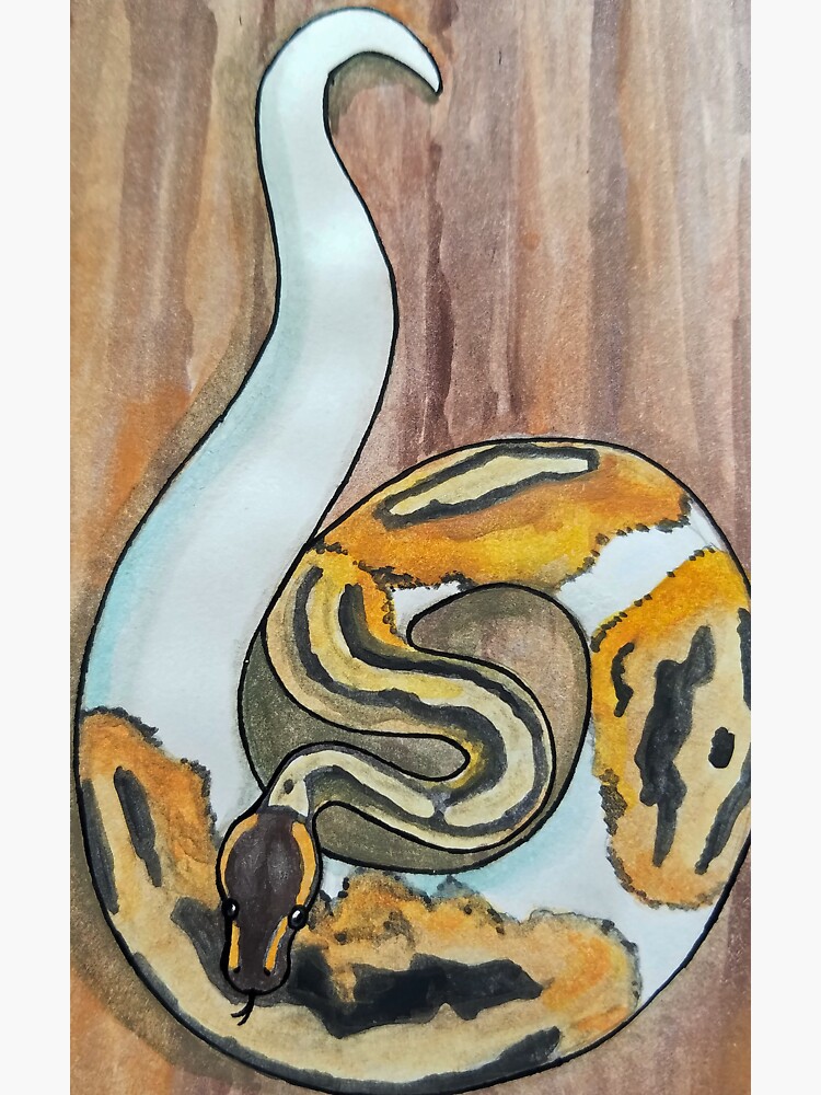 "Piebald Ball Python" Sticker by gingerchan | Redbubble
