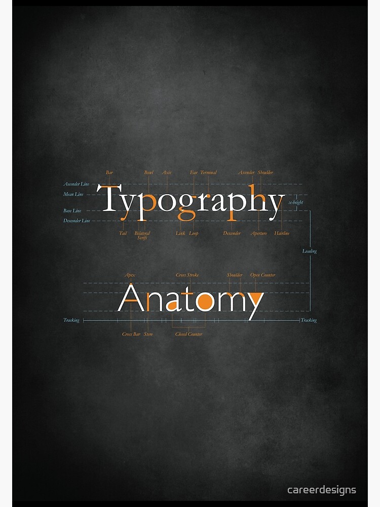 "Anatomy of Typography" Art Print for Sale by careerdesigns | Redbubble