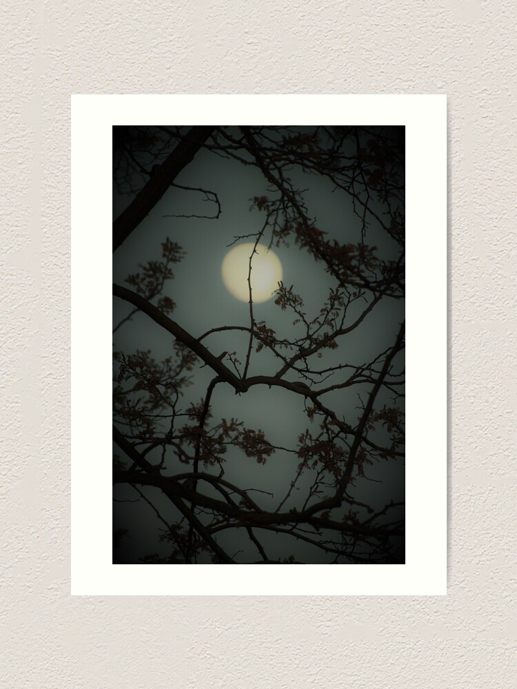 "Split Moon" Art Print by NatureGo | Redbubble