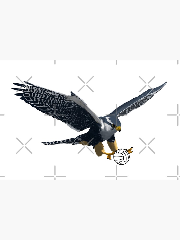 "Volleyball Falcon" Poster by cmd-art | Redbubble