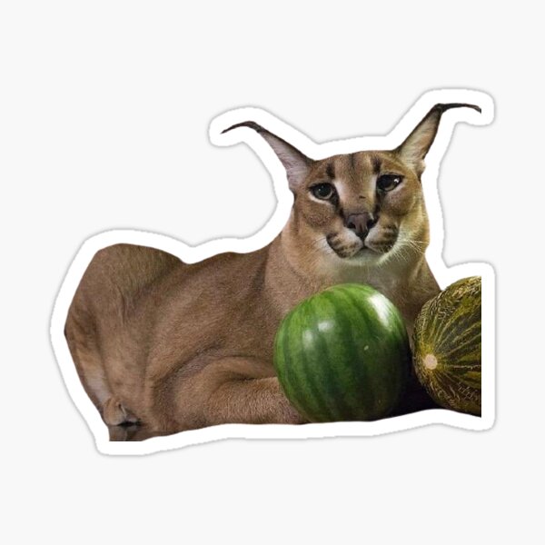 "floppa" Sticker for Sale by pog-champion | Redbubble