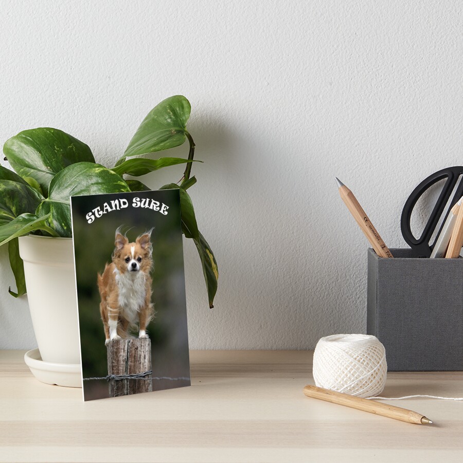 "stand sure" Sticker for Sale by grizzbass | Redbubble