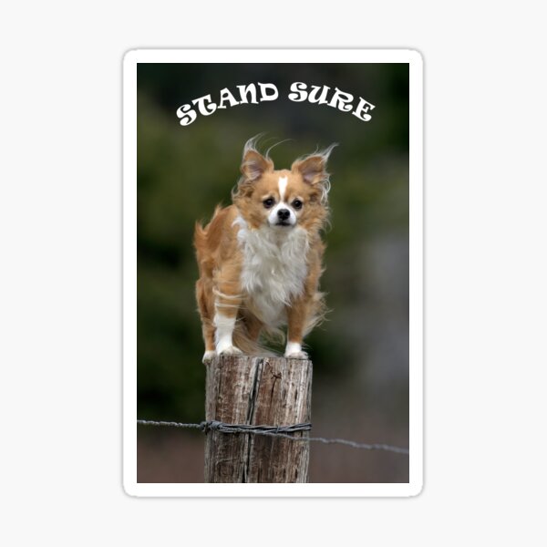 "stand sure" Sticker for Sale by grizzbass | Redbubble