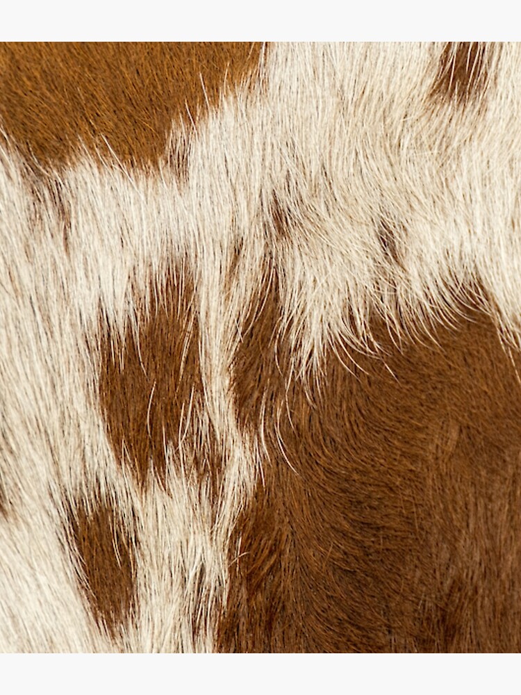 "Beautiful brown cow fur pattern" Backpack for Sale by whitedove457 ...
