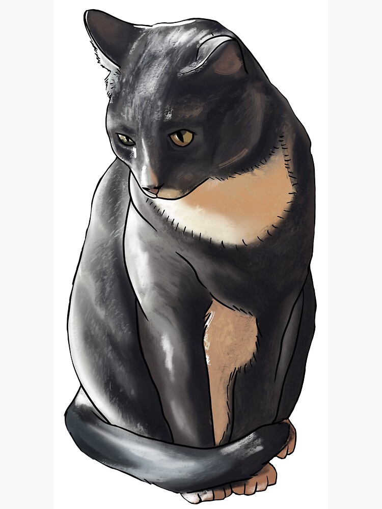 "Kevin the Cat" Sticker for Sale by gabrielleblanca | Redbubble