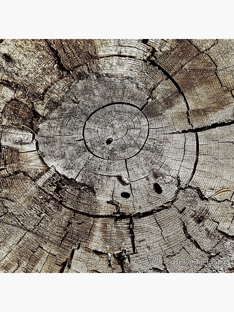 "Dark Grey Wood Tree Trunk - Wood Details" Poster by HeavenlyFlowers ...