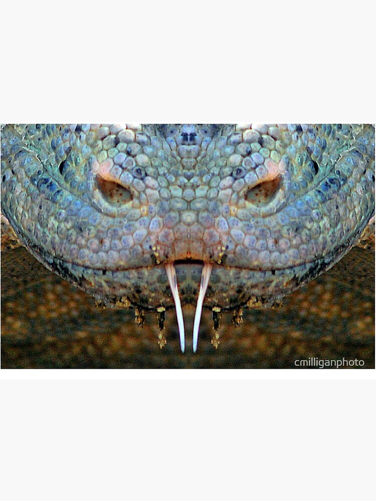 "Komodo Dragon Face Photo Facemask" Mask for Sale by cmilliganphoto ...