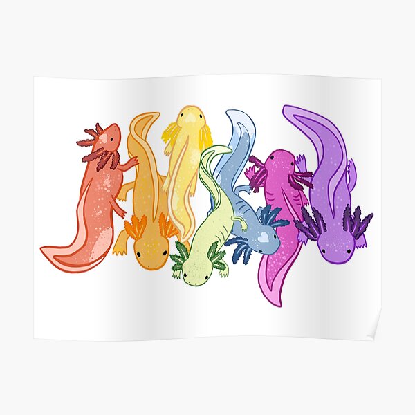 "Rainbow Axolotls" Poster for Sale by FoundMyArt | Redbubble