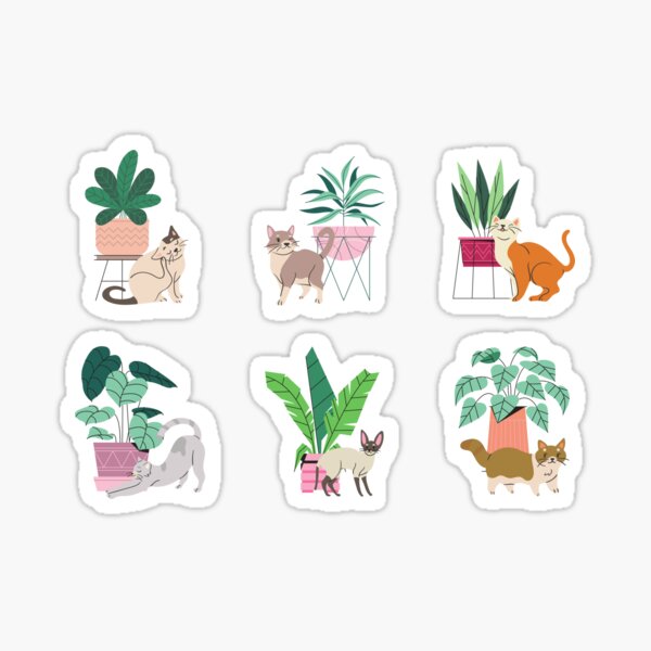 "Cats With Plants Set" Sticker for Sale by designsbynic | Redbubble