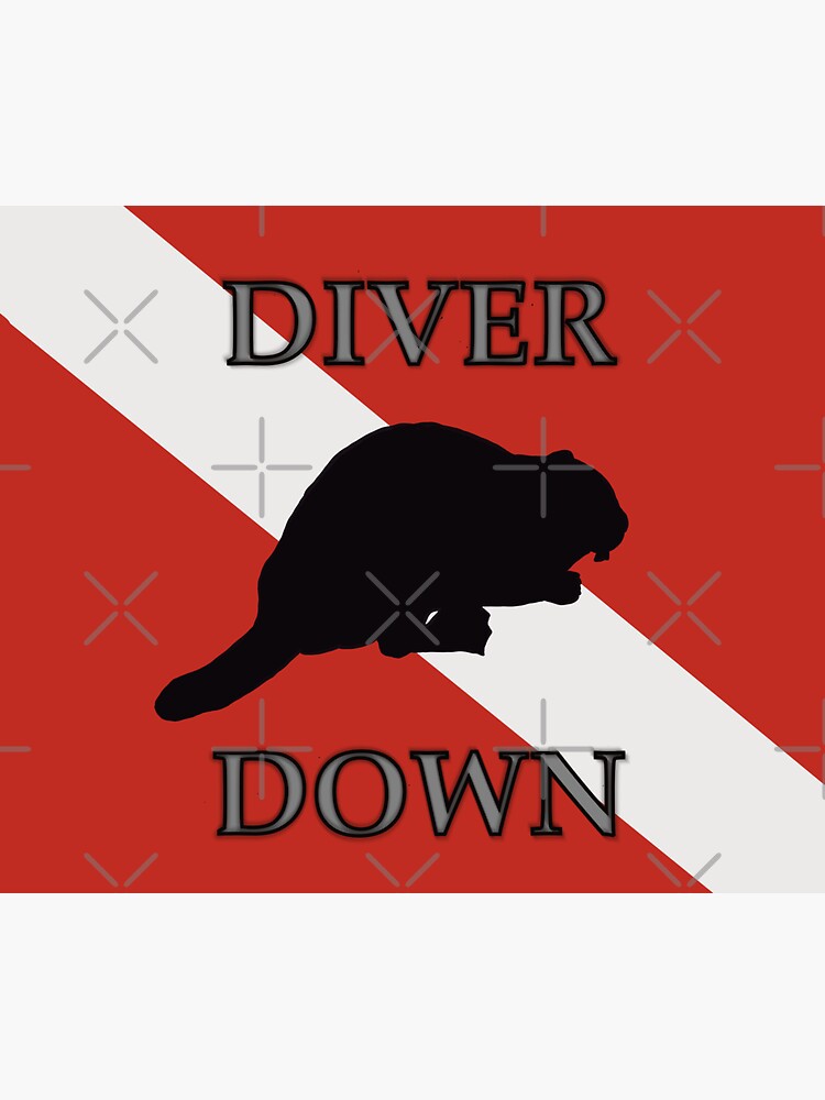 "Diver down" Sticker for Sale by beachcamper | Redbubble
