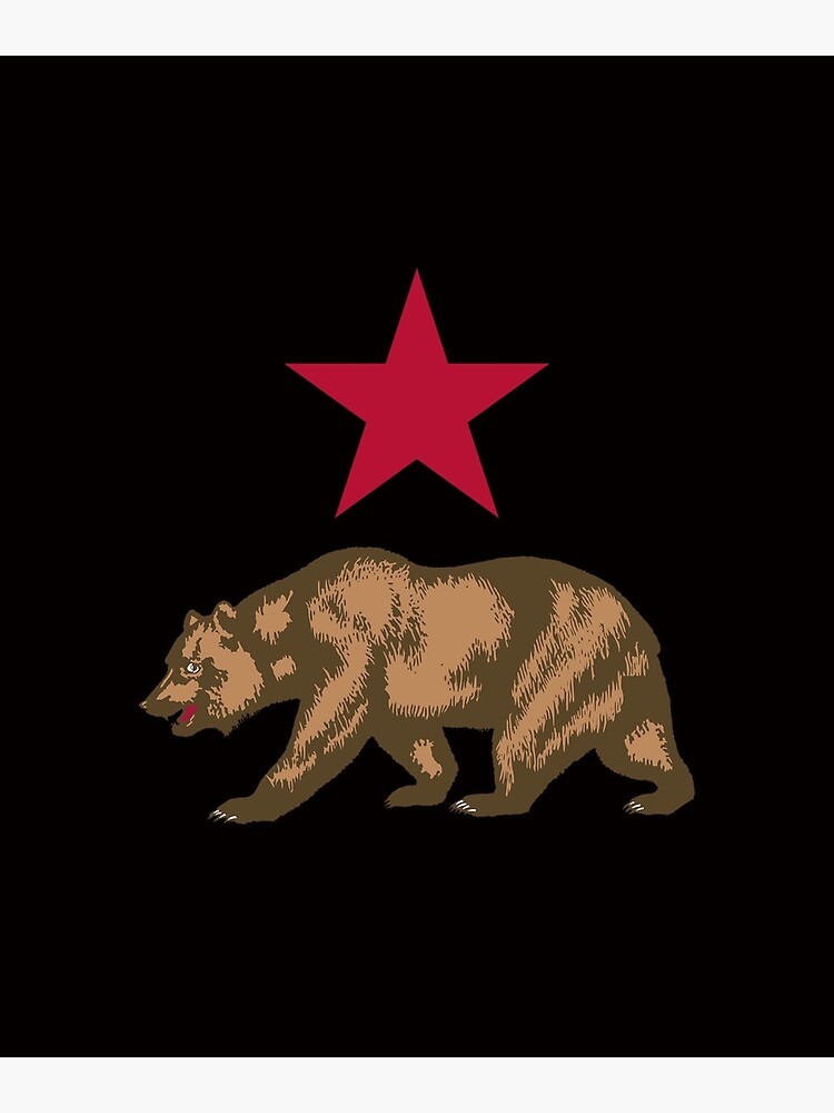 "NorCal Bear With Star " Poster for Sale by darren415 | Redbubble