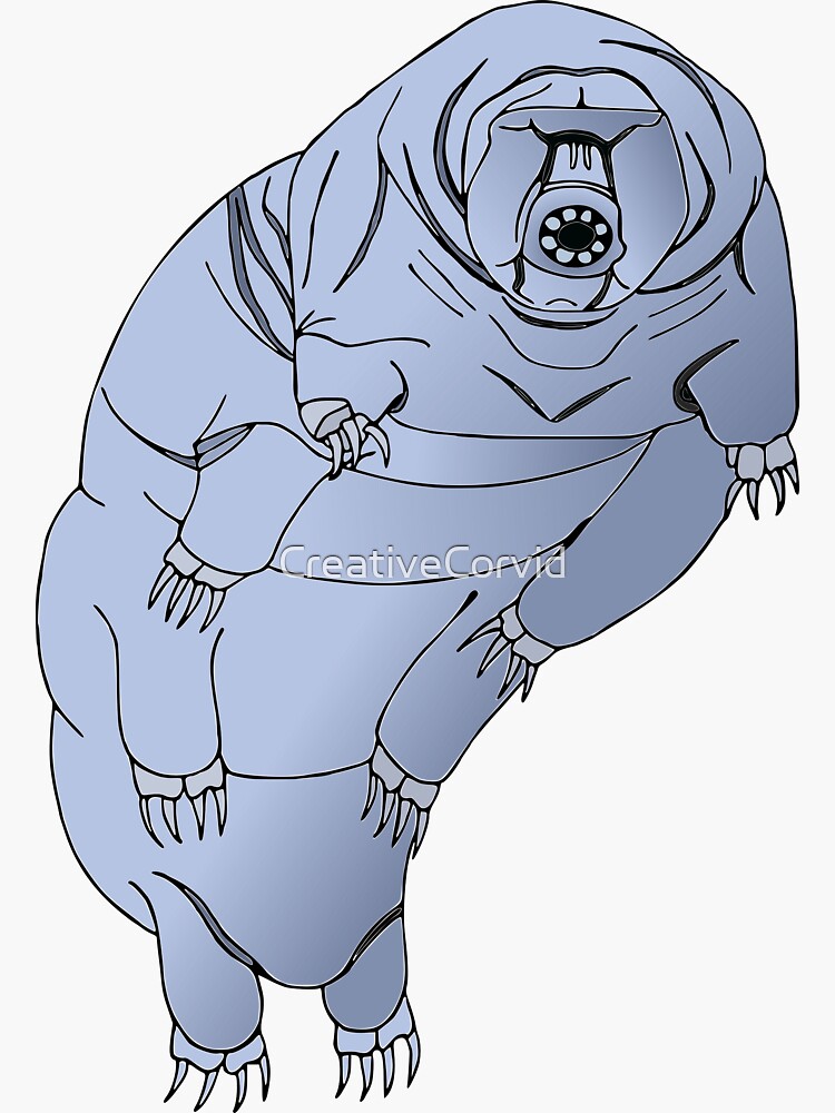 "Tardigrade" Sticker by CreativeCorvid | Redbubble