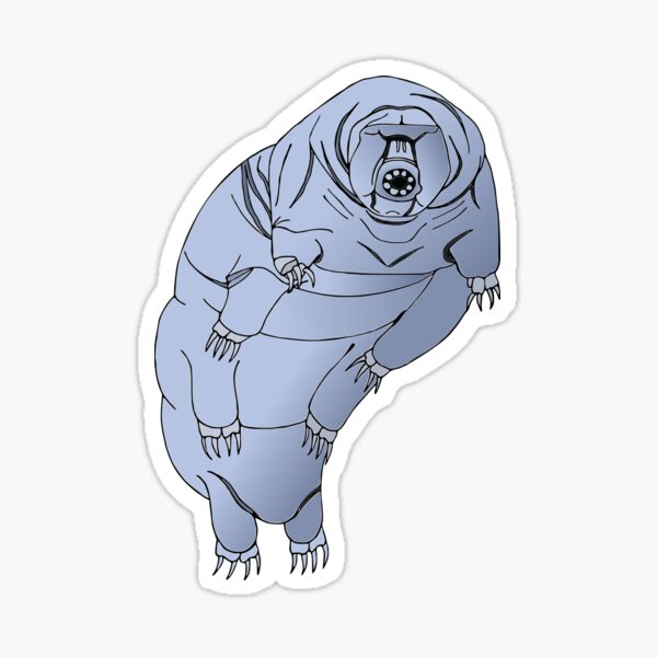 "Tardigrade" Sticker by CreativeCorvid | Redbubble