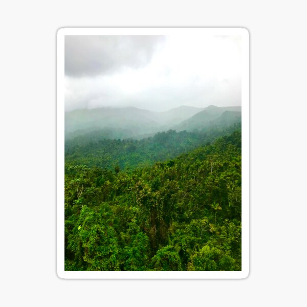 "The Amazon Rainforest " Sticker for Sale by michellebeleno | Redbubble