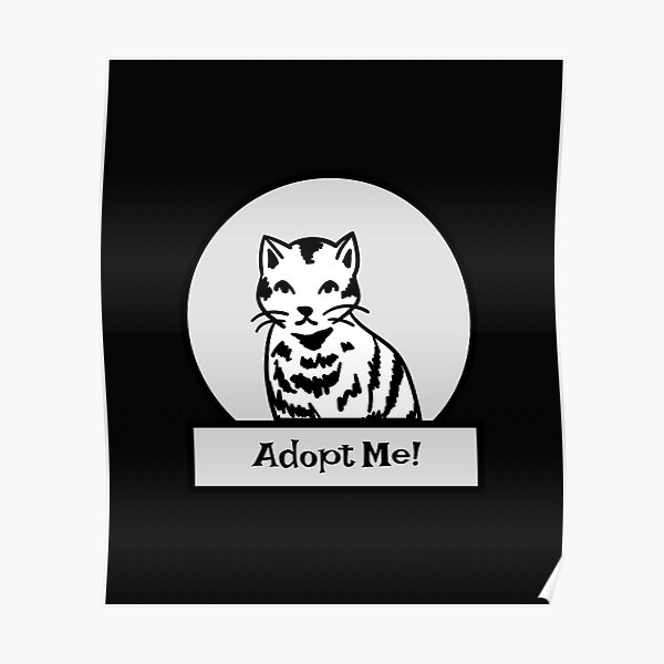 Cat Adoption Posters | Redbubble