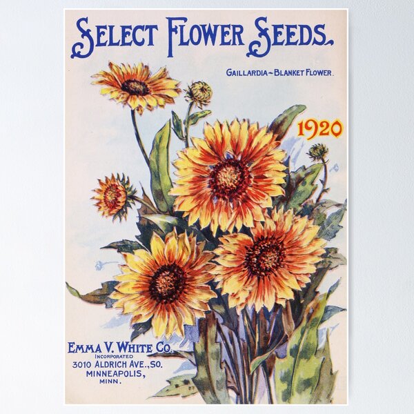 "Vintage Garden Seed Catalog Cover" Poster for Sale by Douglas E. Welch ...
