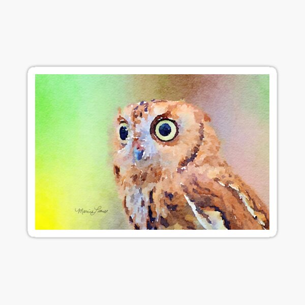 "Original Watercolor Painting, Screech Owl Painting, Bird Art, Nature ...