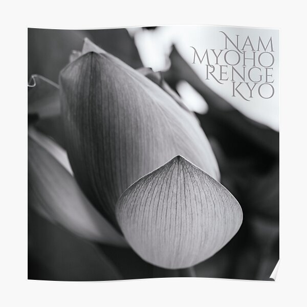 "Nam Myoho Renge Kyo Lotus Flower" Poster by GDMcreative | Redbubble