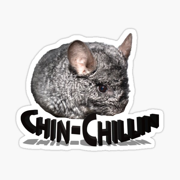 "Mr. Chunk" Sticker for Sale by tylermotes | Redbubble