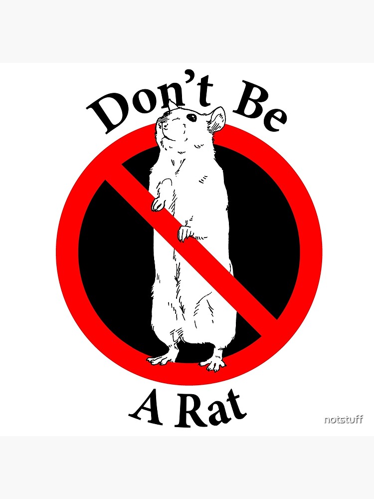 "Don't Be a Rat - Keep your secrets - Respect your Team" Poster by ...