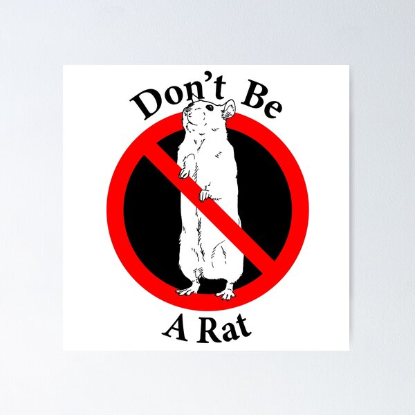 Póster for Sale con la obra «No seas una rata - Guarda tus secretos ...