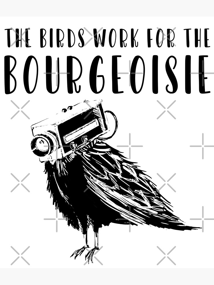 "The Birds Work For The Bourgeoisie Funny Meme" Poster by DvCreations ...