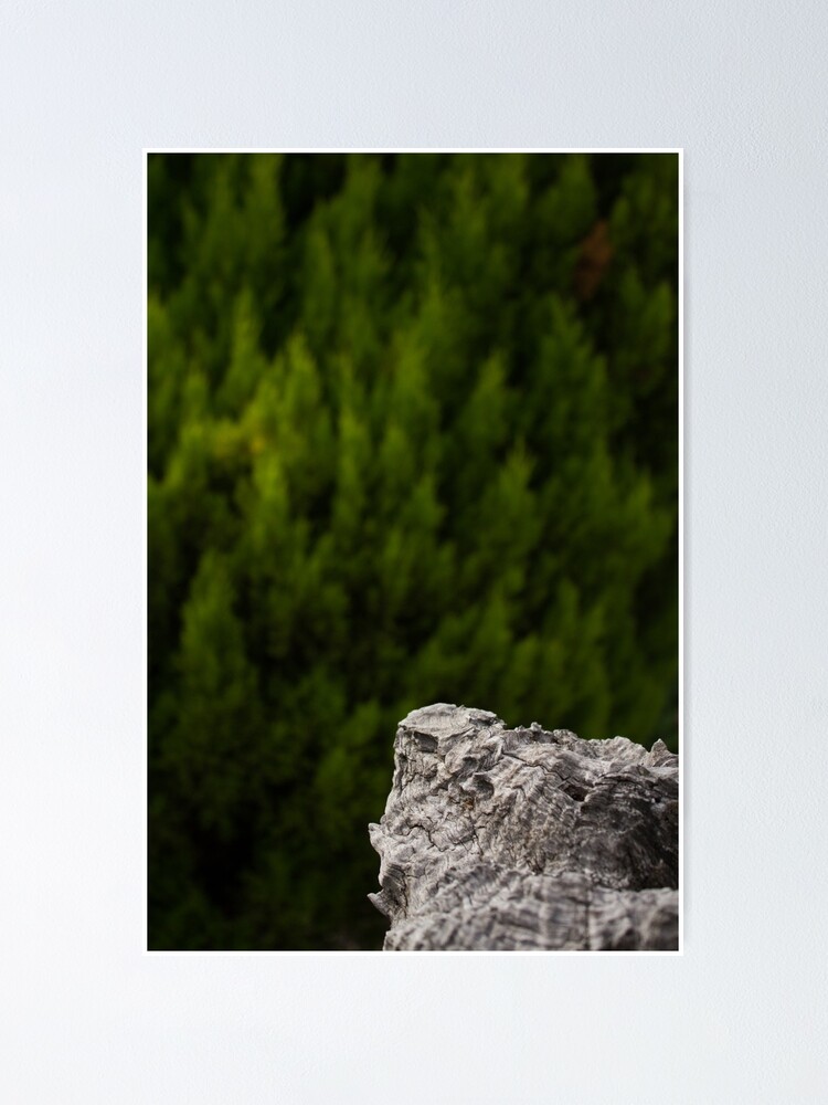 "Contrast of textures and colors" Poster for Sale by destinyrko | Redbubble