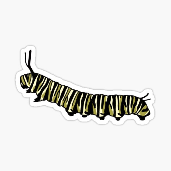 "Monarch Caterpillar" Sticker for Sale by JuneNostalgia | Redbubble