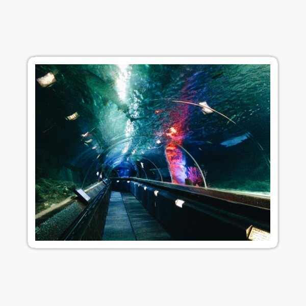 "Aqua" Sticker for Sale by jennylam | Redbubble