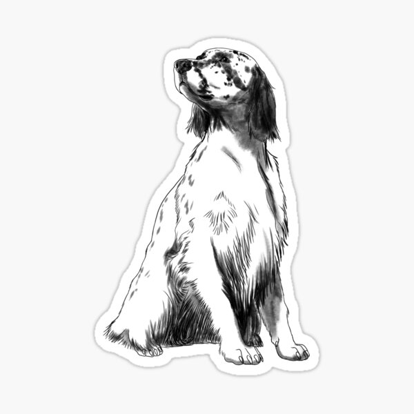 "Sitting English Setter Dog" Sticker for Sale by alwe-designs | Redbubble