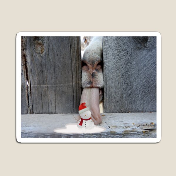 "Goat licking a snowman, we lick you a merry Christmas" Magnet for Sale ...