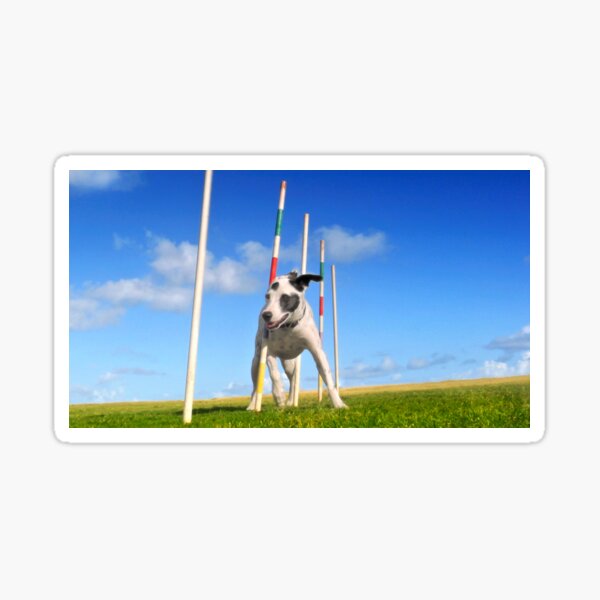 "Practice makes perfect" Sticker by alex4444 | Redbubble