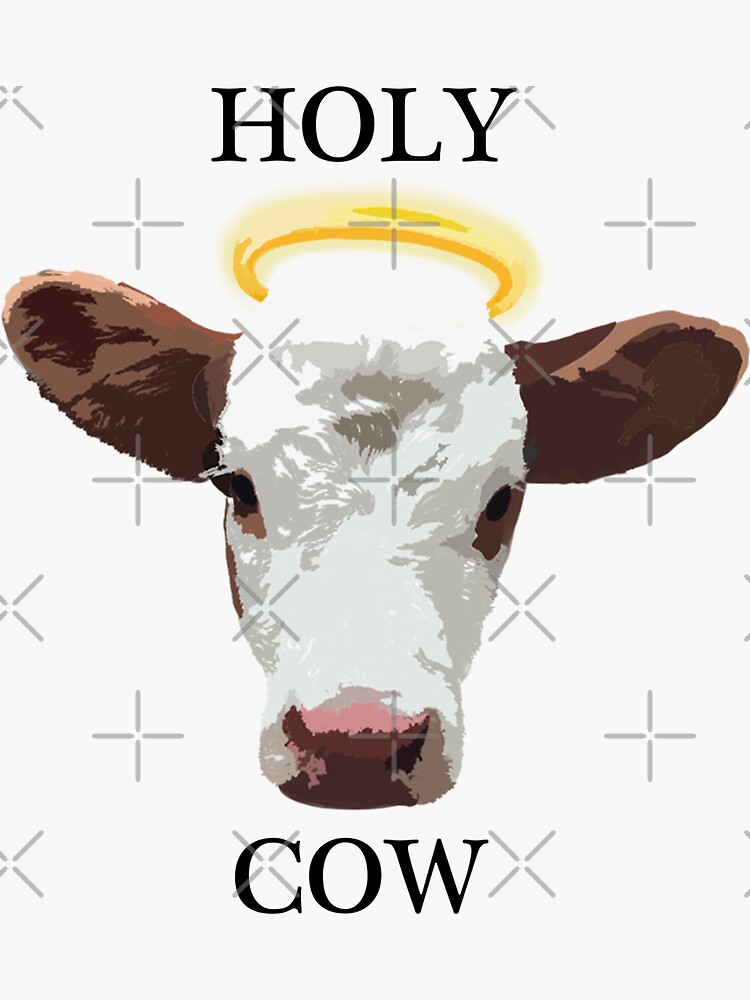 "Holy Cow" Sticker for Sale by hegdesigns | Redbubble