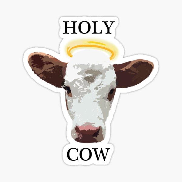 "Holy Cow" Sticker for Sale by hegdesigns | Redbubble