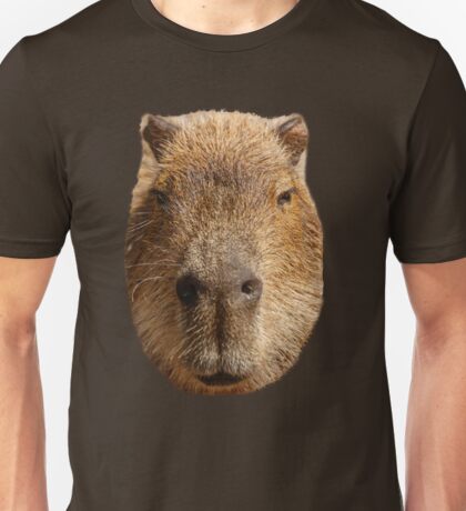 Capybara: Gifts & Merchandise | Redbubble