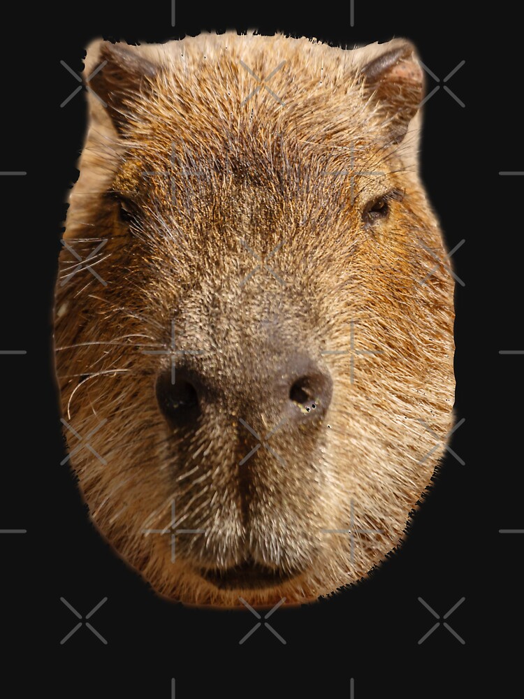 "Male Capybara face" Active T-Shirt for Sale by Dalyn | Redbubble