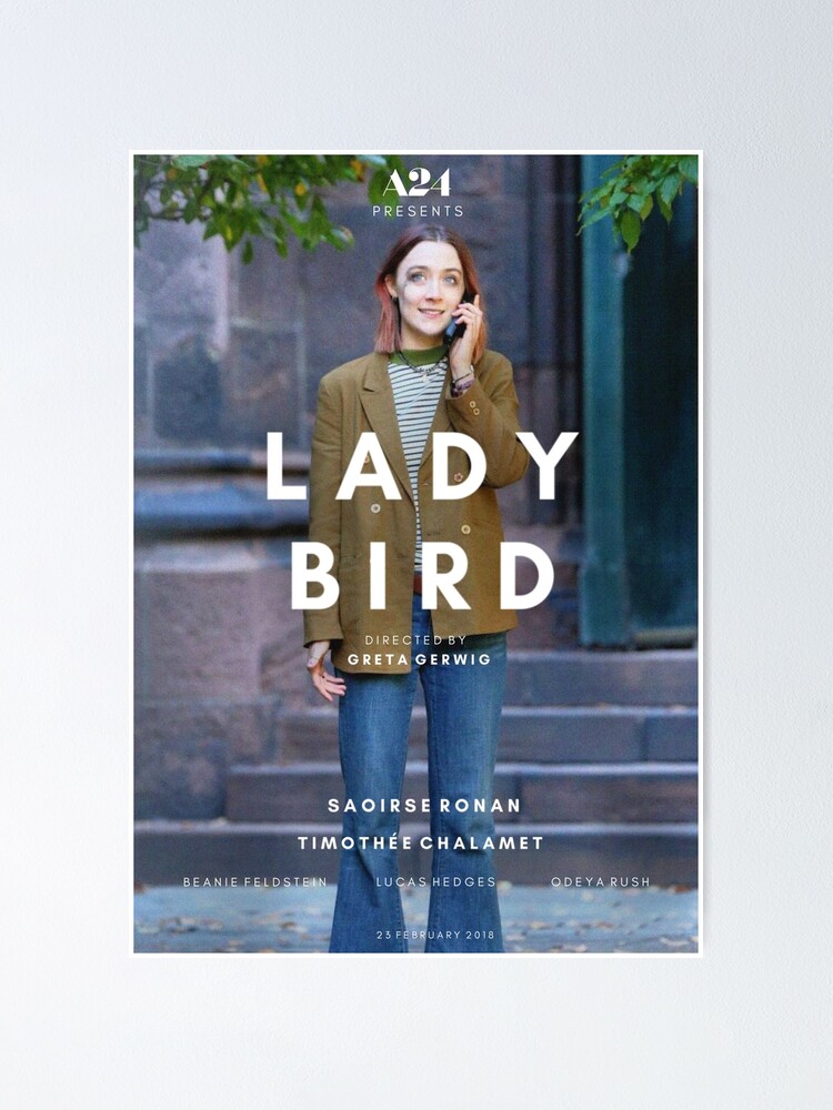 Lady Bird Alternative Poster 2 Poster For Sale By Brendoodle Redbubble