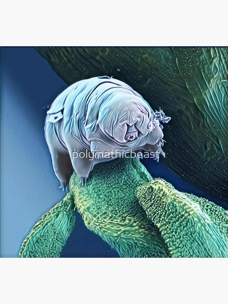 Creepy Tardigrade Premium Matte Vertical Poster sold by Robert Levin ...