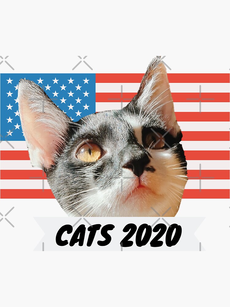 "Mia Cute Cat Kitten Face Vote for Cats 2020 America USA Flag Election ...