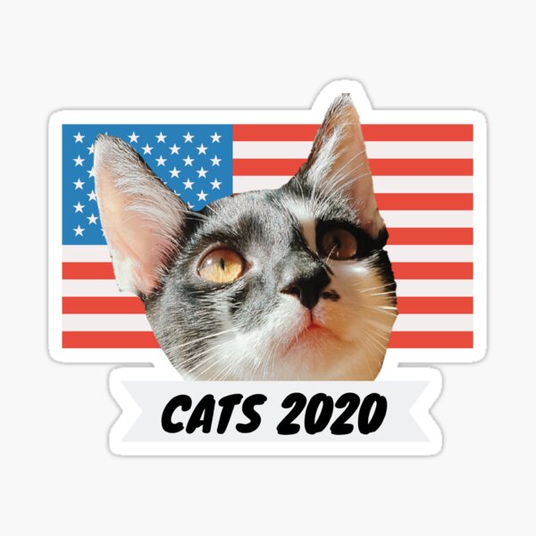 "Mia Cute Cat Kitten Face Vote for Cats 2020 America USA Flag Election ...