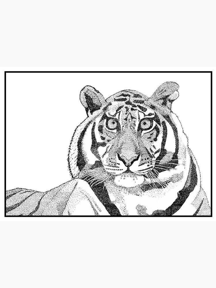 "Stippling Tiger" Poster by AngusHillsArt | Redbubble