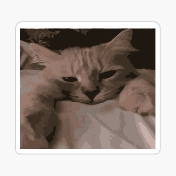 "cat meme" Sticker by lyyyts | Redbubble