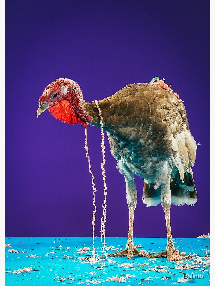 "Party Animals - Exhausted Turkey " Poster by Balinth | Redbubble